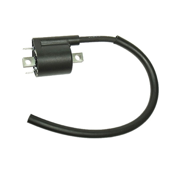 BRONCO ATV/UTV IGNITION COIL (AT-01346) – Garage Harry Stanley