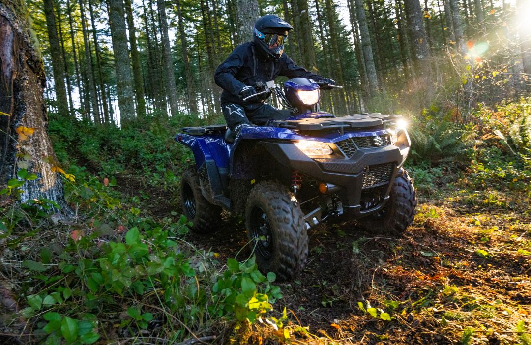 Garage Harry Stanley